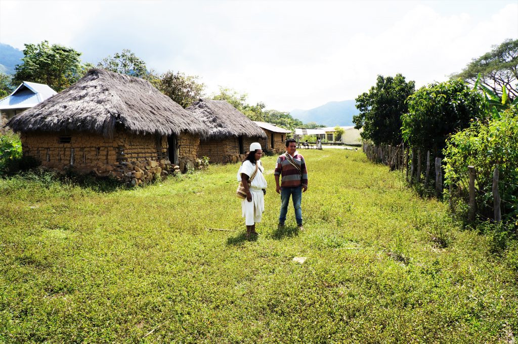 An Opportunity to Reconnect with our Origins - resilience