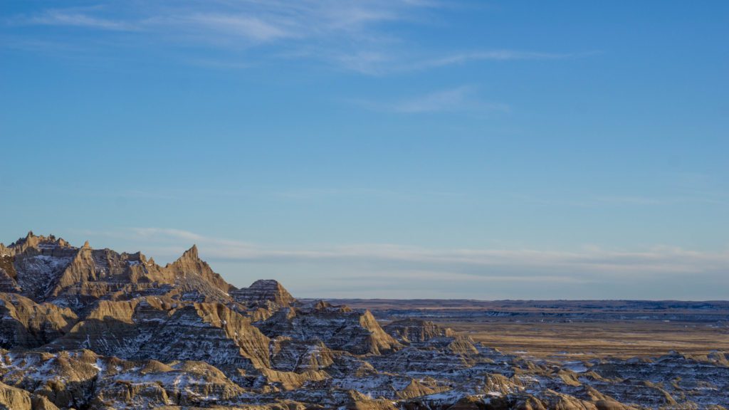 The Brotherhood of the Buffalo - resilience