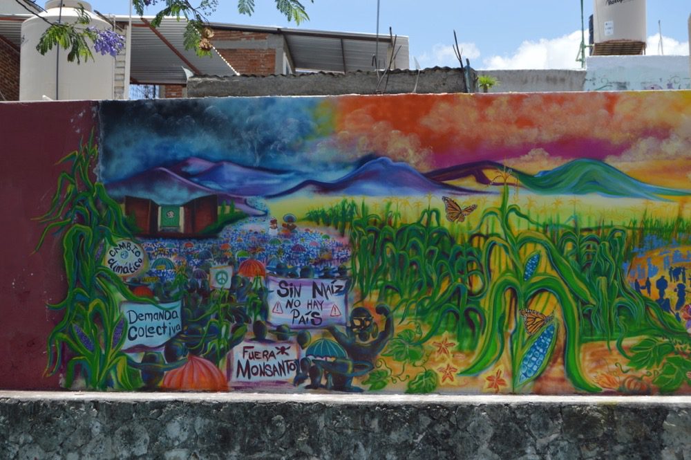 Oaxaca Mural Documents Struggle to Defend Native Corn - resilience