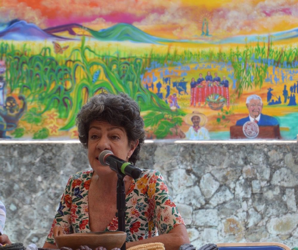 Oaxaca Mural Documents Struggle to Defend Native Corn - resilience